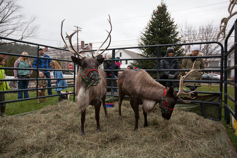 A Traditional Christmas in Stowe - Stowe Vibrancy